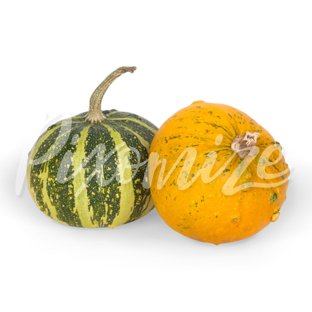 Mini Pumpkins